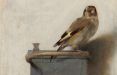 Carel Fabritius: Der Distelfink - alles Wissenswerte über das Bild | AiW