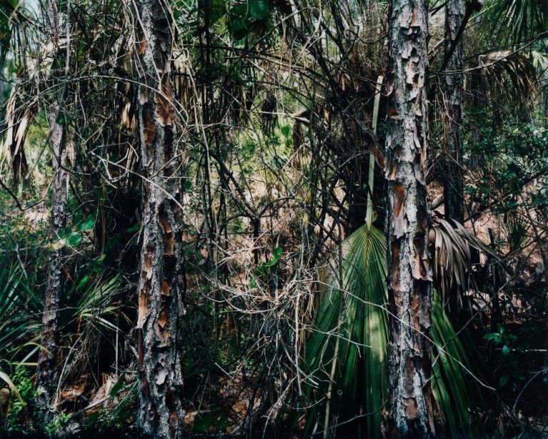 Thomas Struth: Fotografie